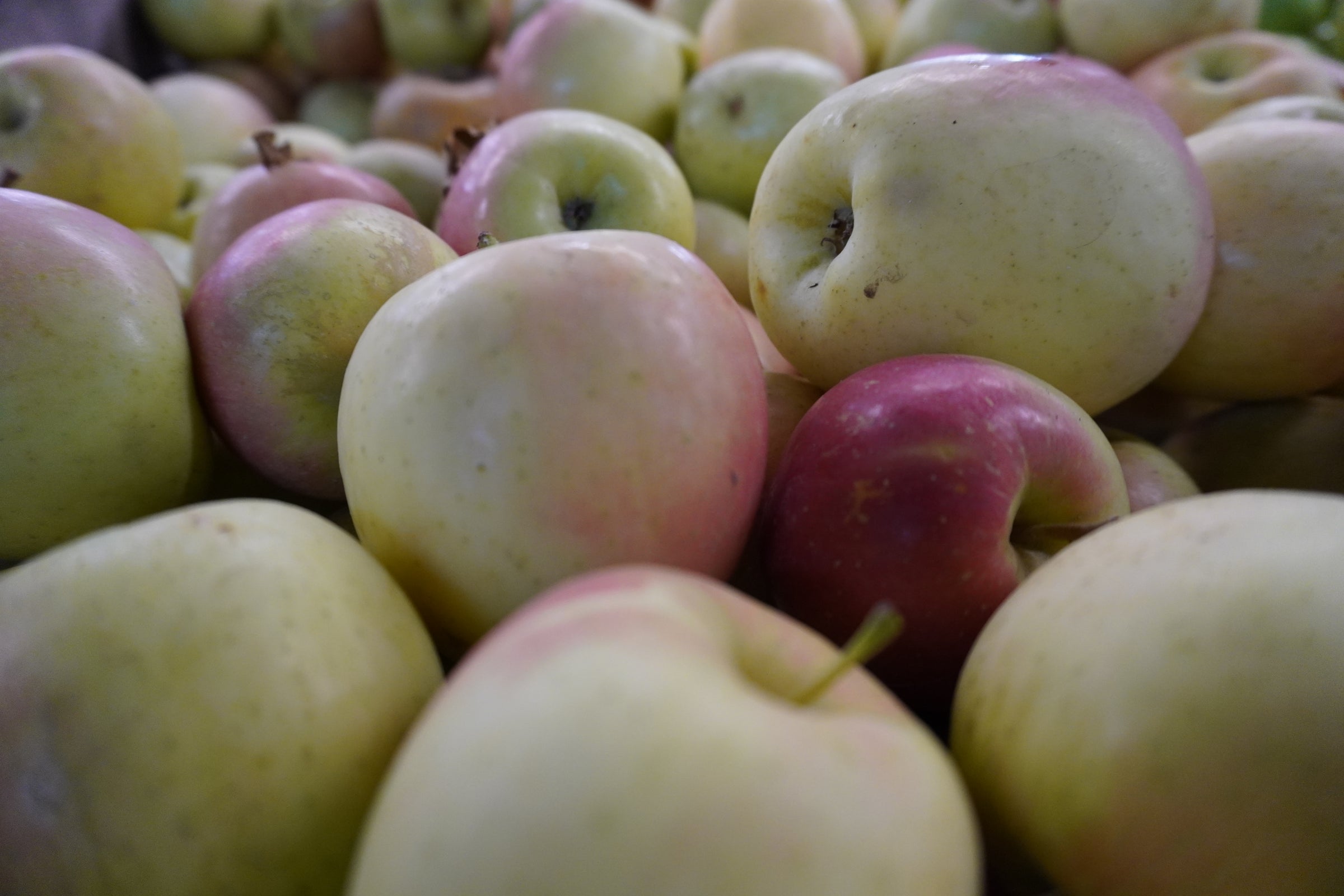 Home About Our Farm Our Apples Sweet & Savory Canned Delights Orchard ...