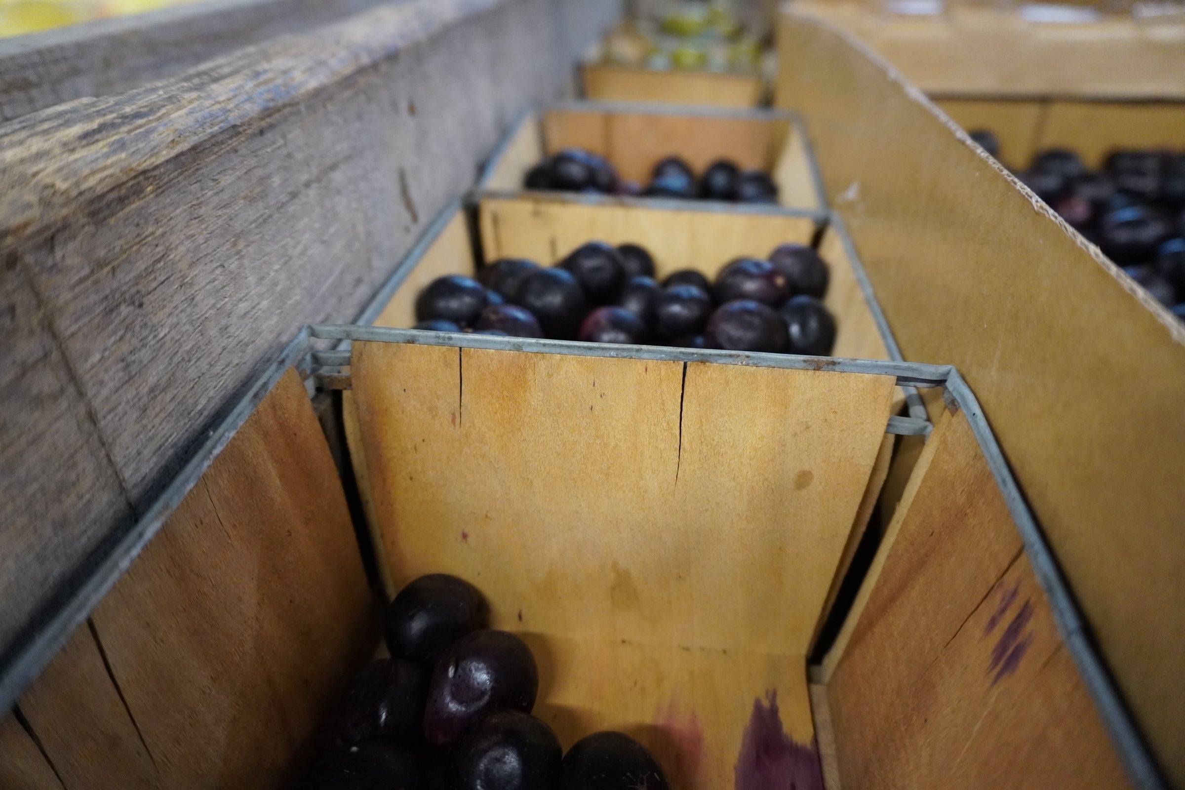 Home About Our Farm Our Apples Sweet & Savory Canned Delights Orchard ...