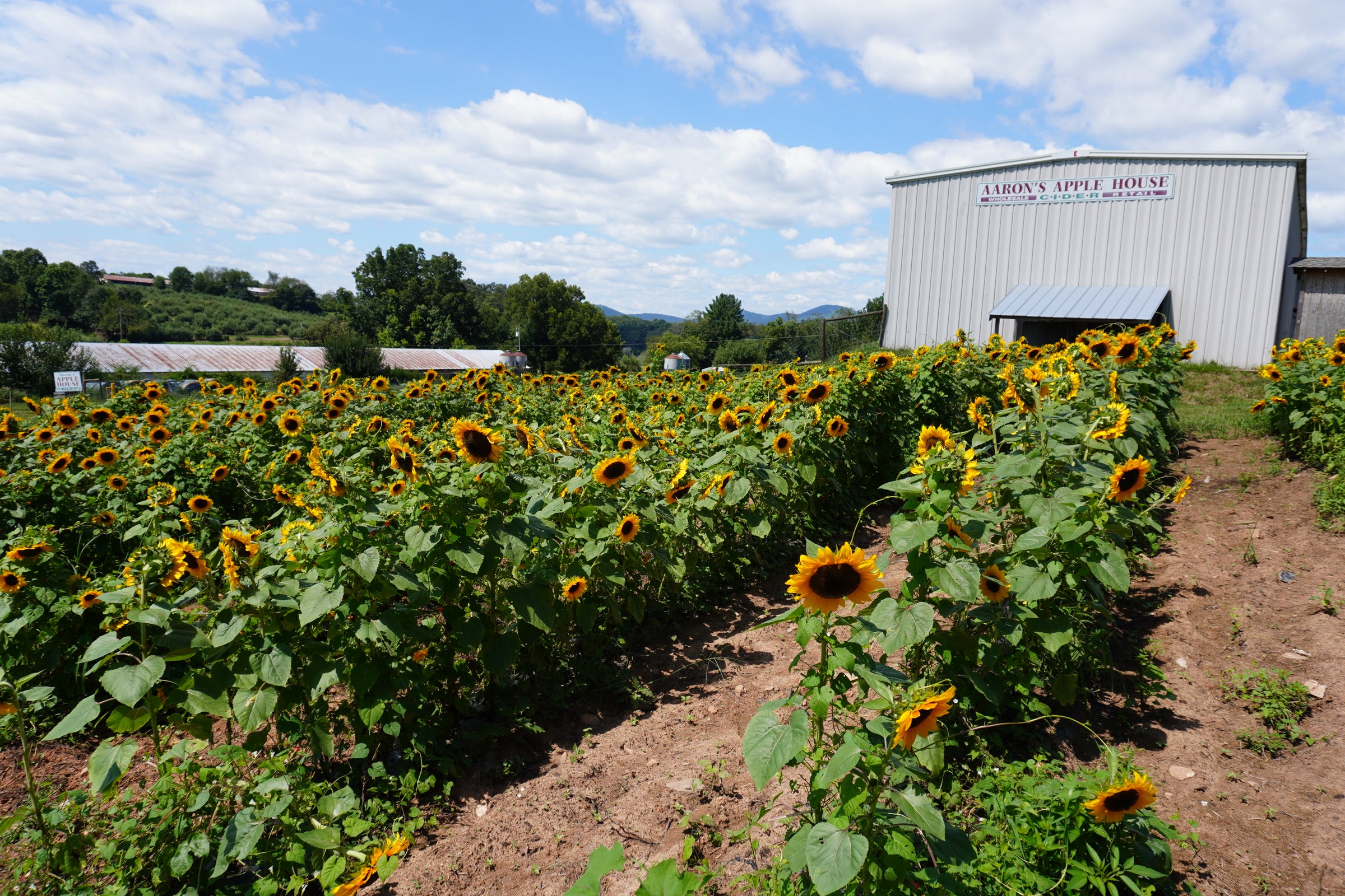 About our Farm